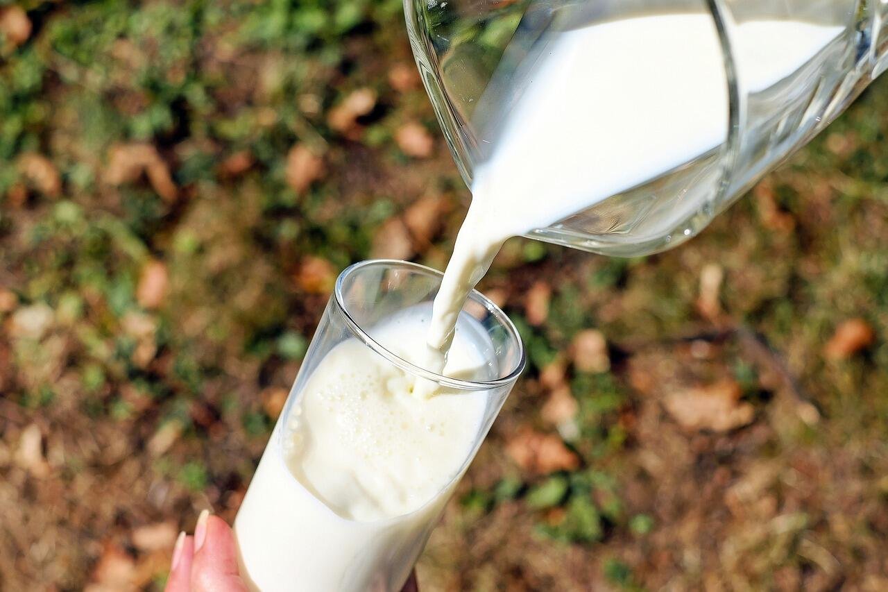 High Lipase Milk: Causes, Effects, and Solutions - Discover the Cure Within