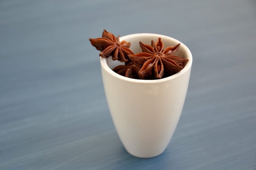 11 Delicious Ways to Use Star Anise in Your Cooking - Discover the Cure ...