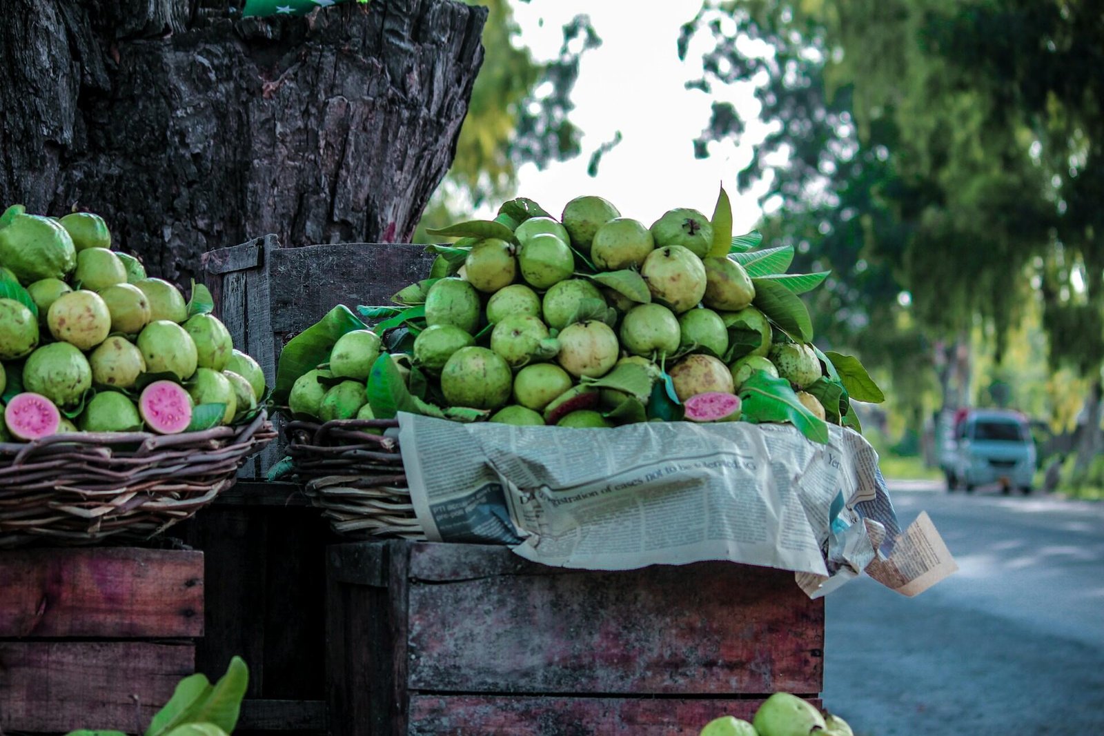 Does guava help with coughs and colds? - Discover the Cure Within