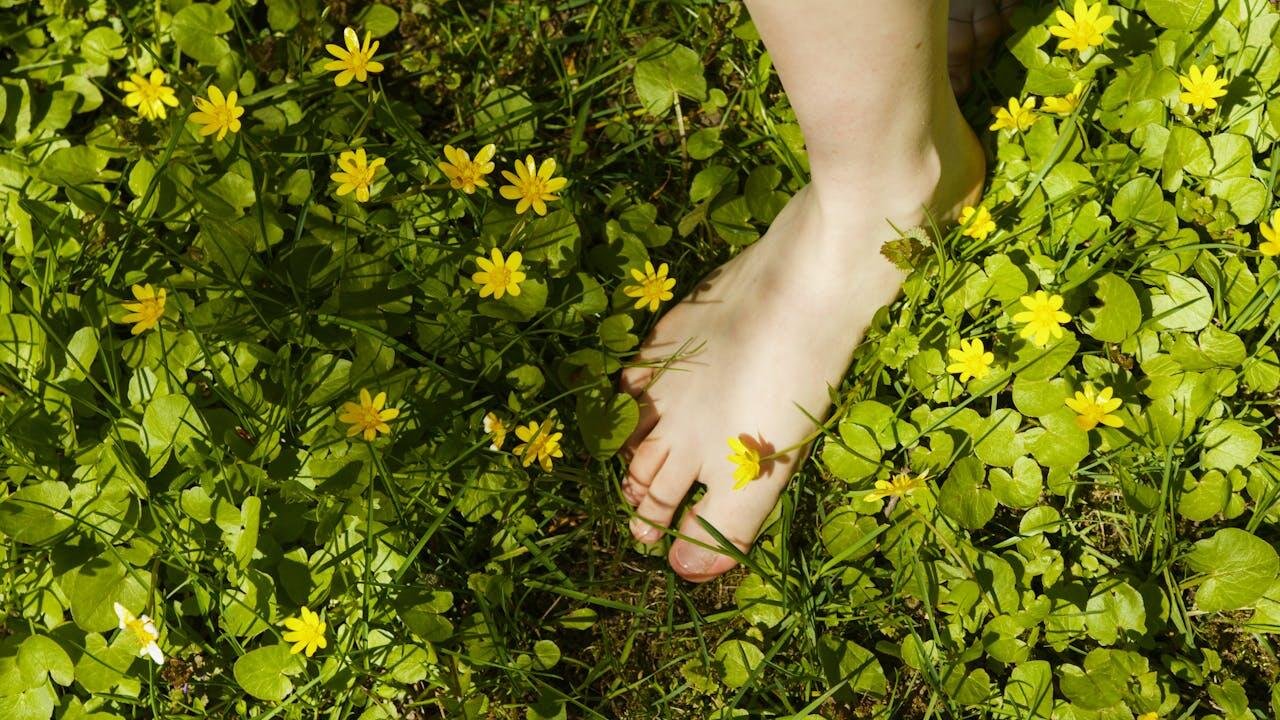 Connect with Nature: Exploring the Grounding Benefits of Barefoot ...