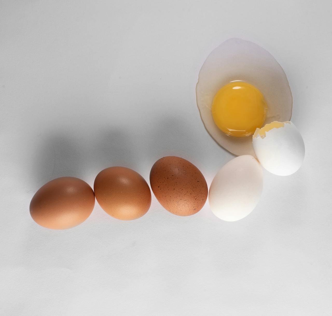 How to Tell if an Egg Is Bad: The Sink-or-Float Water Test - Discover ...