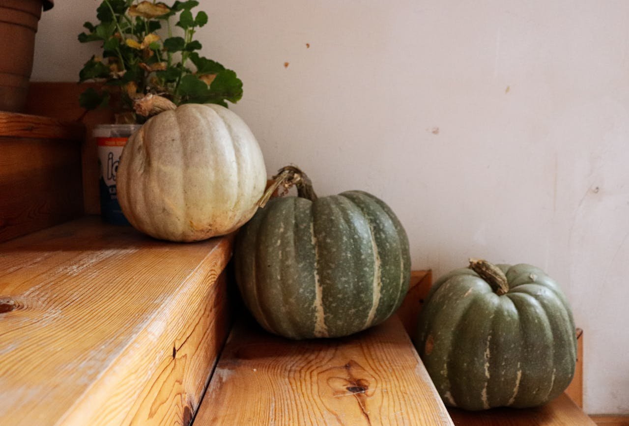 6 Low-FODMAP Vegetables for Sensitive Digestion – Discover the Cure Within