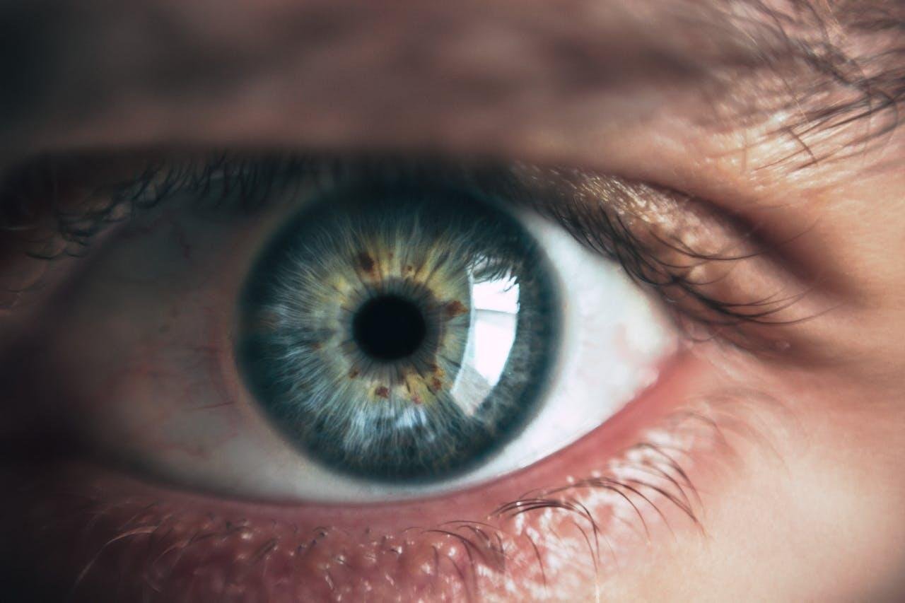 Do eye exercises work? The truth about vision training - Discover the ...