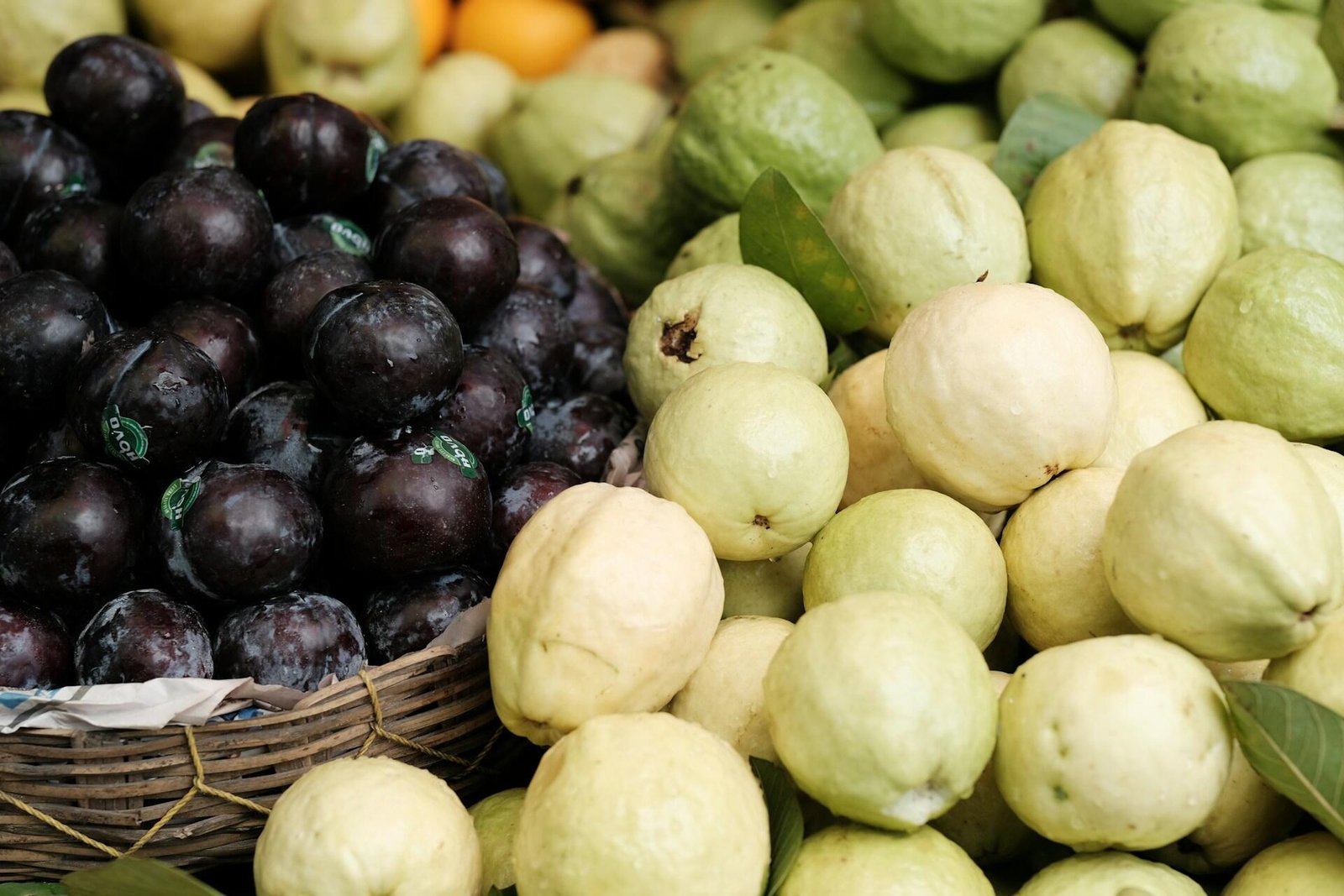 How to ripen and store guava for maximum freshness - Discover the Cure ...