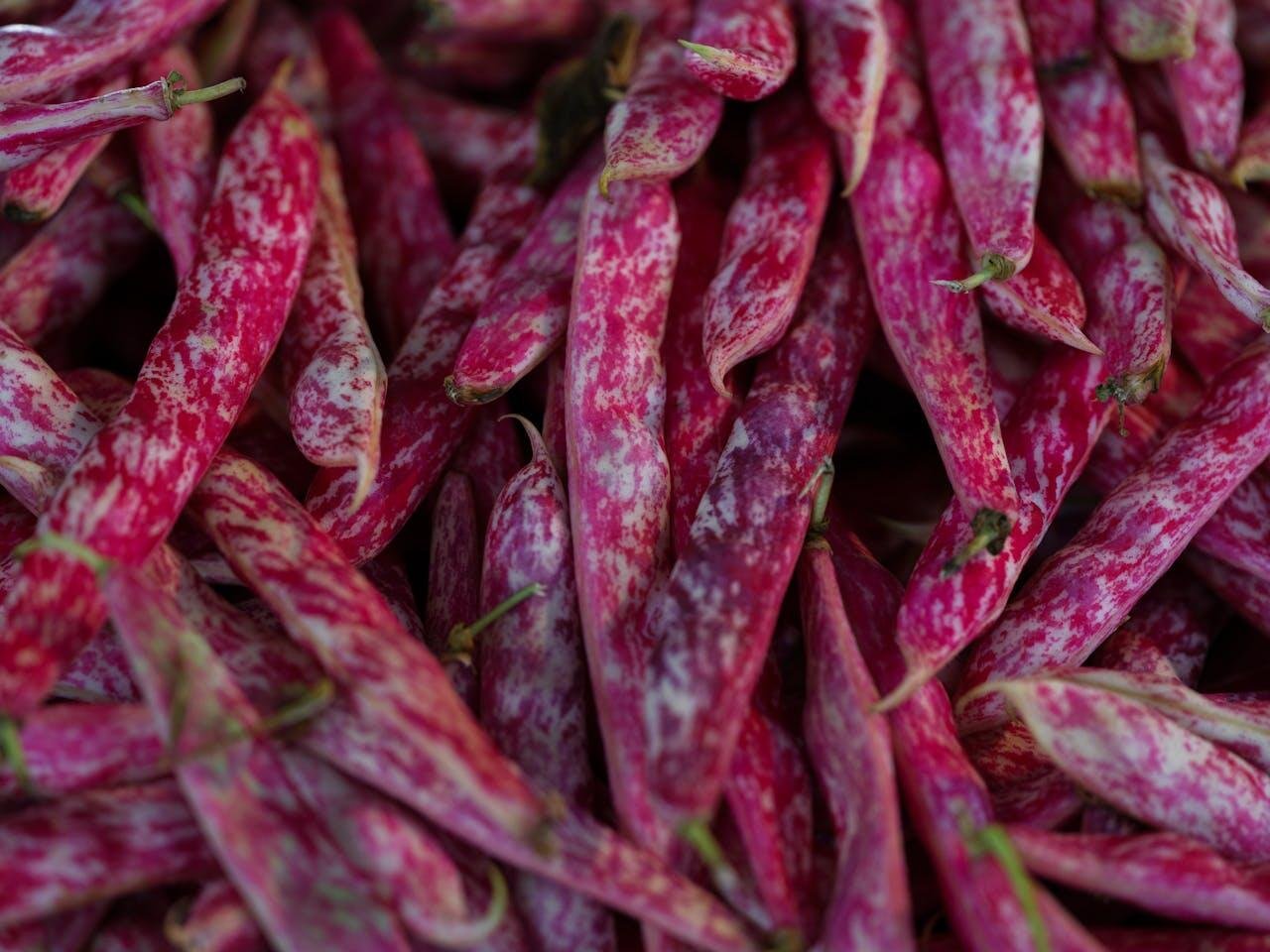 Nutritional Profile of String Beans vs Runner Beans: Which is Better ...