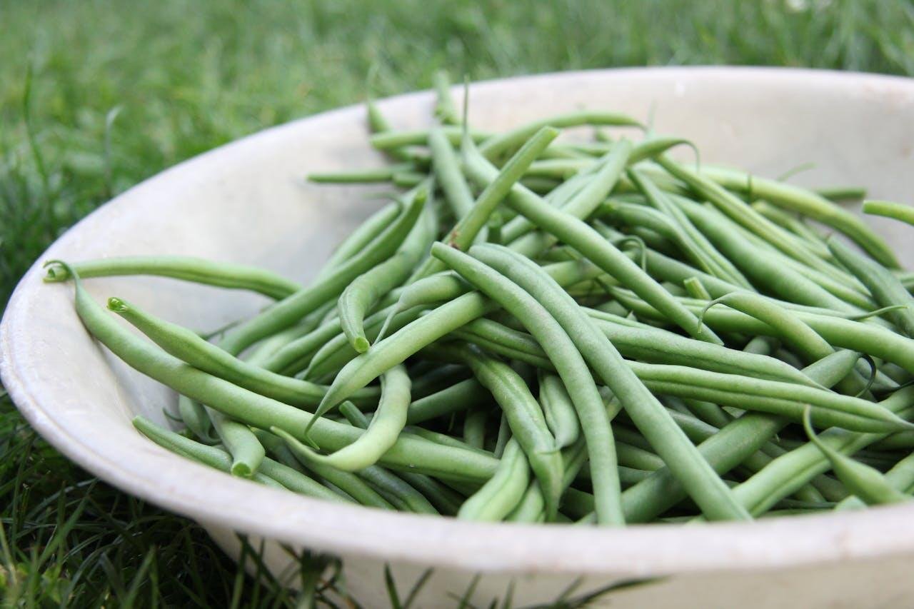 The Benefits of Green Beans for Digestive Health and Dietary Fibre ...