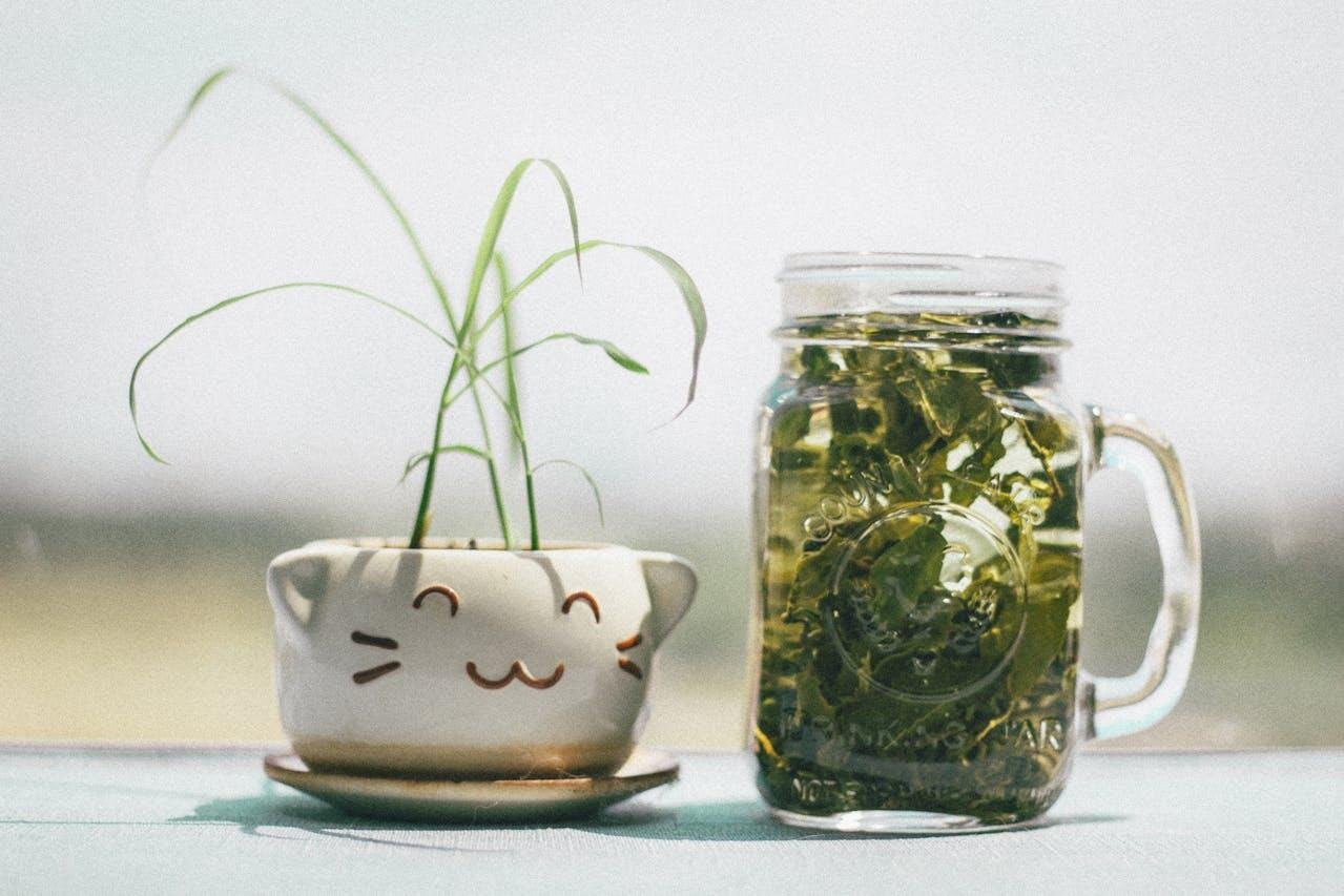 The Ultimate Guide to Kids Herbal Tea: Safe Blends & Benefits ...